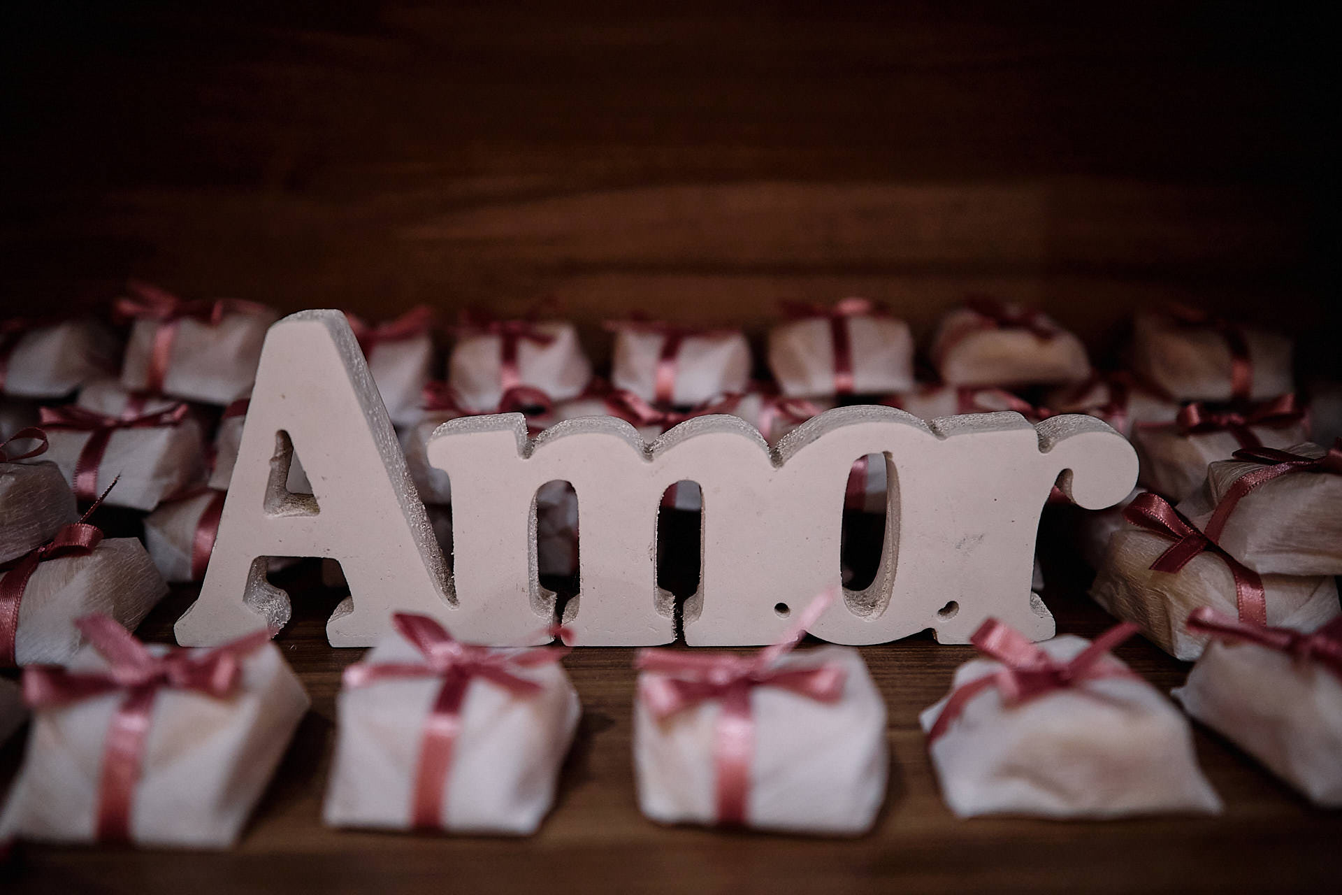 Casamento Casa Flora - Beatriz e Leandro - Rosamecanica